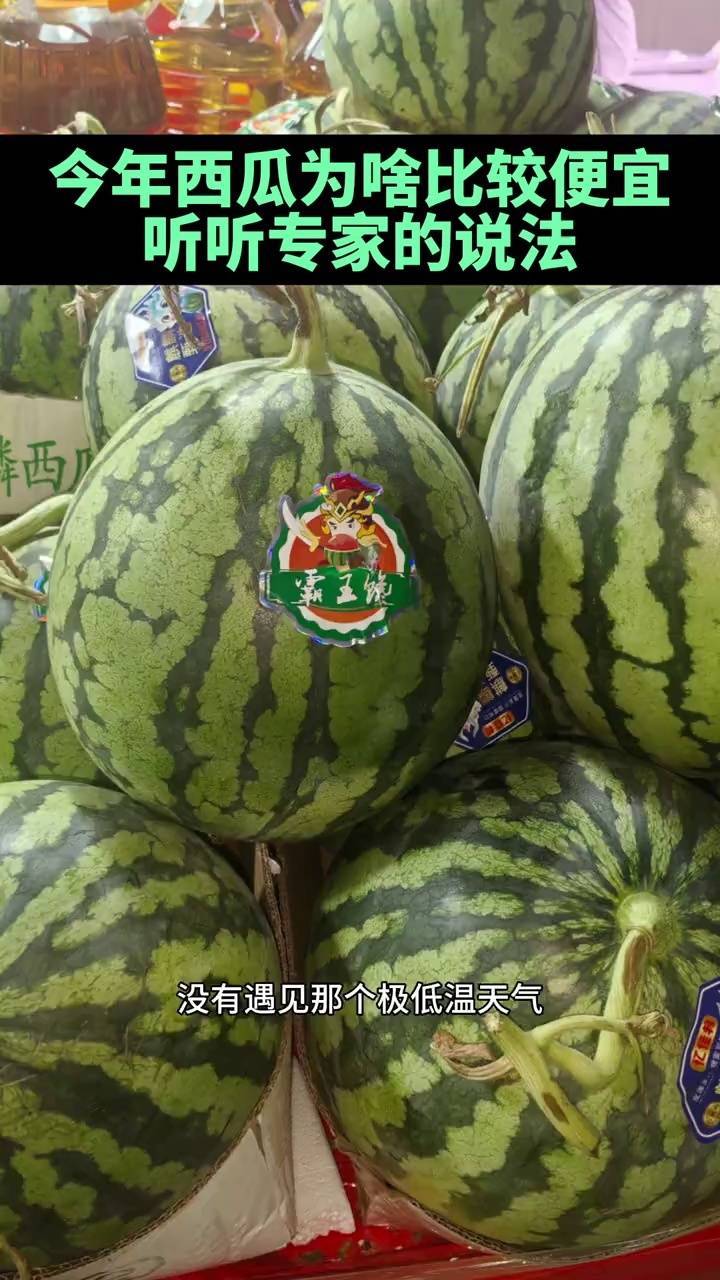 今年西瓜为啥这么便宜? #西瓜 #麒麟西瓜