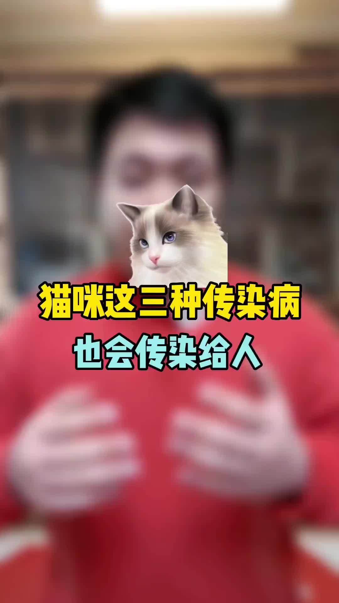 猫咪有三种传染病会传染给人的,一定要小心预防哦。