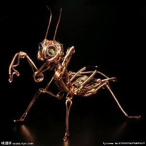 北宸_御羽 