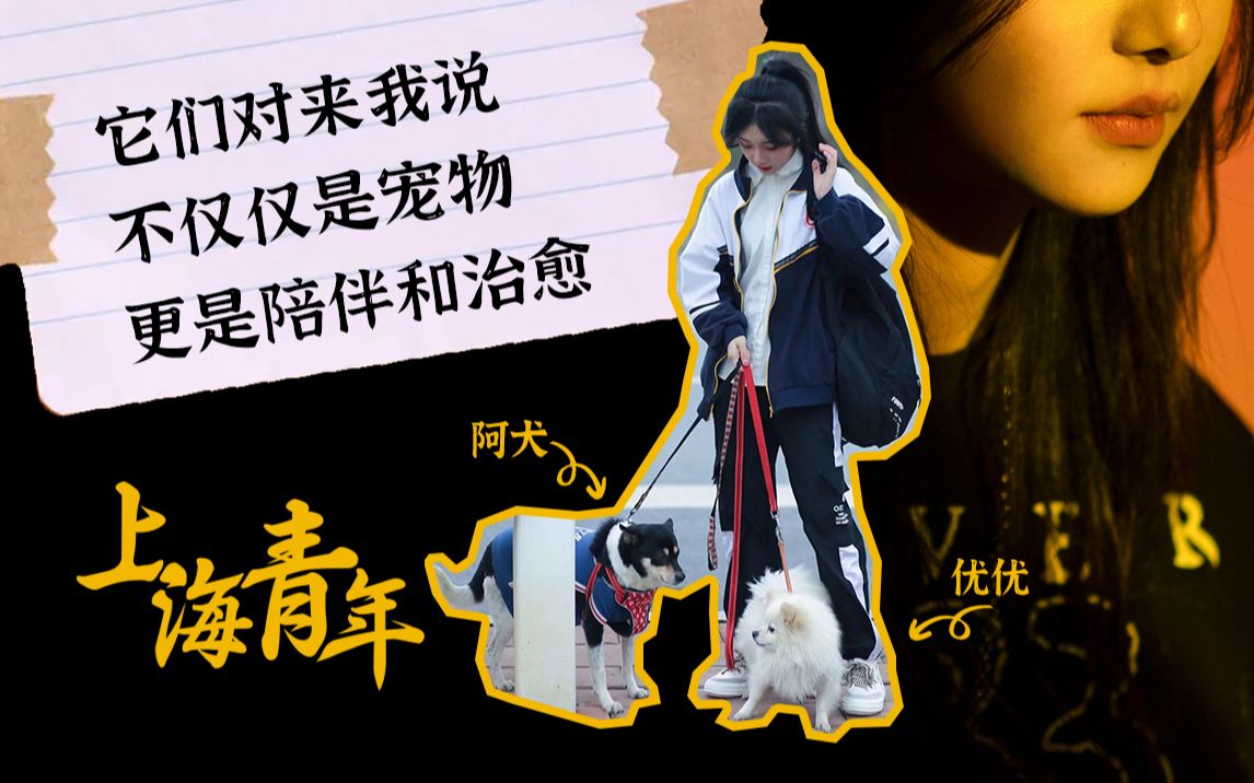 【上海青年访谈#160】它们对来我说不仅仅是宠物,更是陪伴和治愈