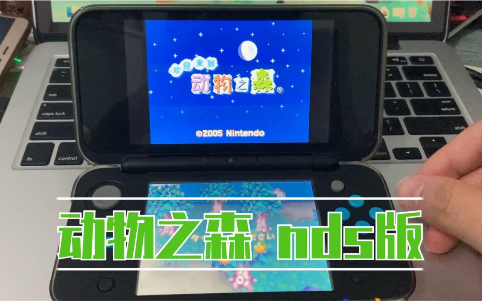 【nds动物之森】上手体验,感受DS上的美好回忆