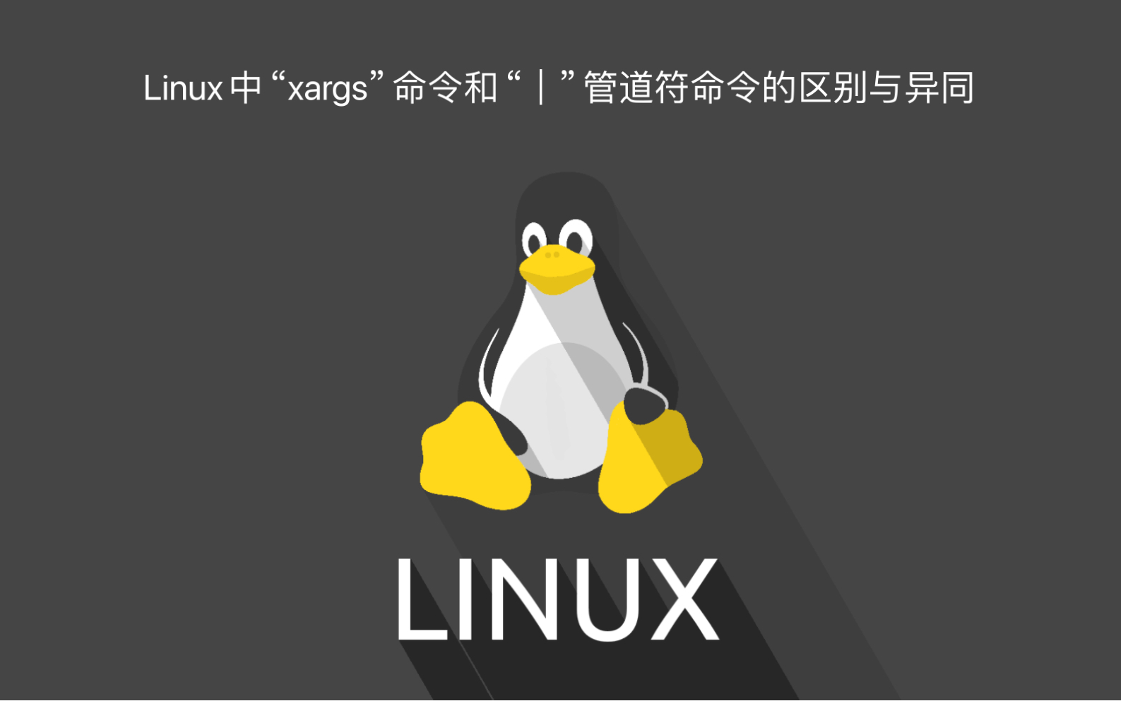Linux中“xargs”命令和“|”管道符命令的区别与异同