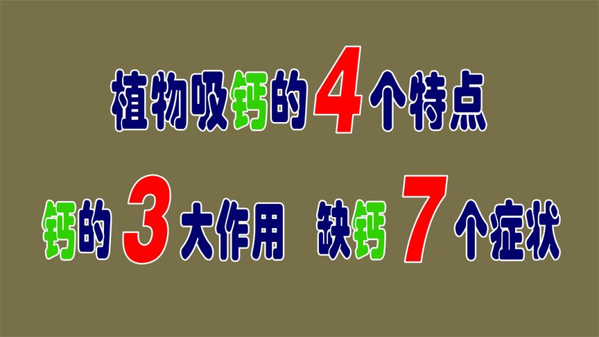 植物吸收钙的4个特点,钙的3大作用,植物缺钙的7个症状