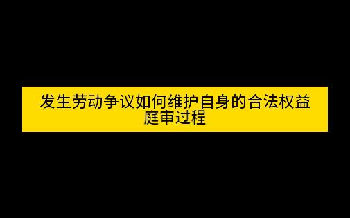 劳动争议-庭审过程