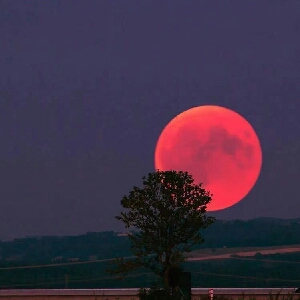 备考CPA中的小学渣 