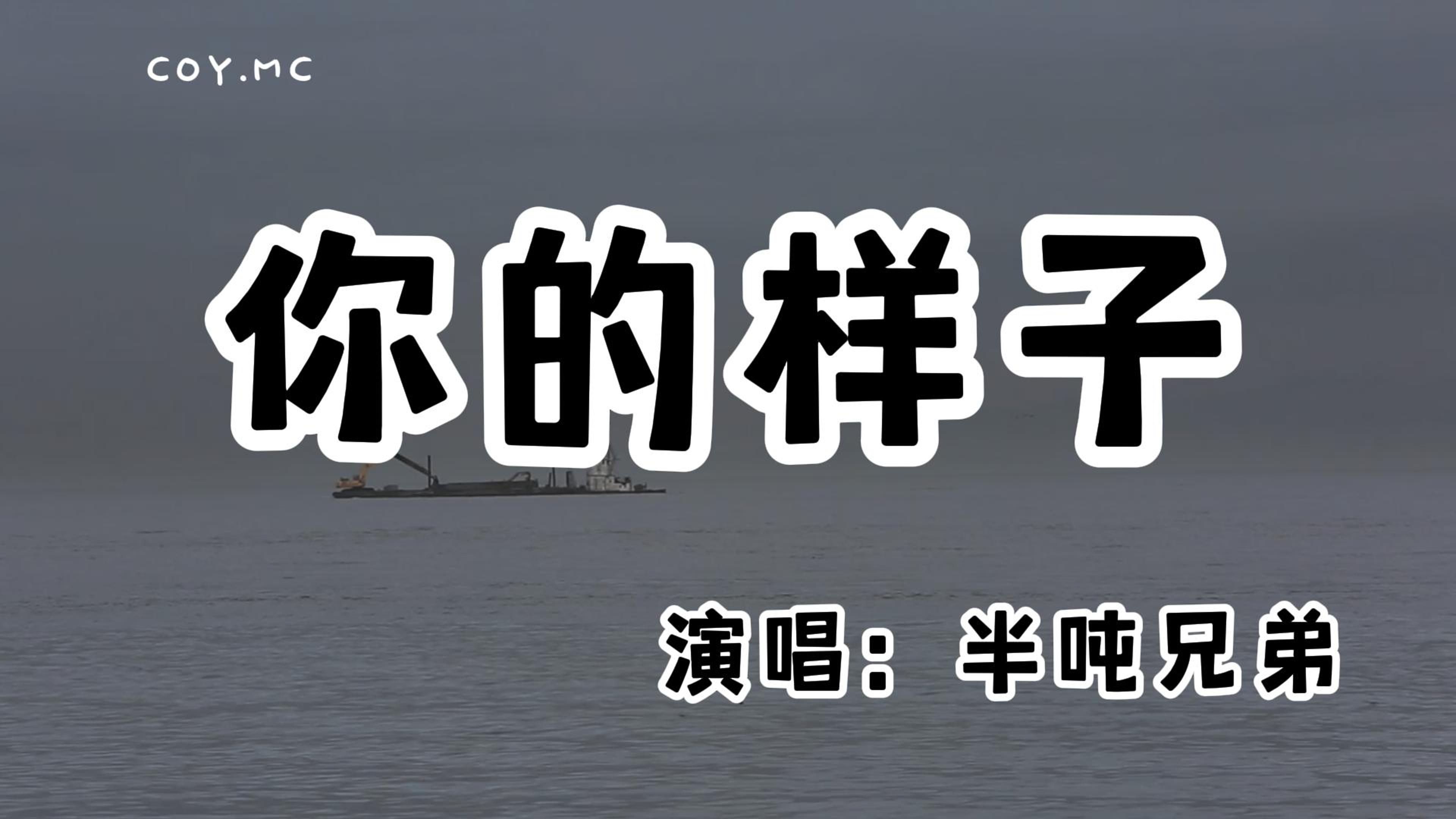 ...- 你的样子『让风尘刻画你的样子 就像早已忘情的世界』(动态歌词/...