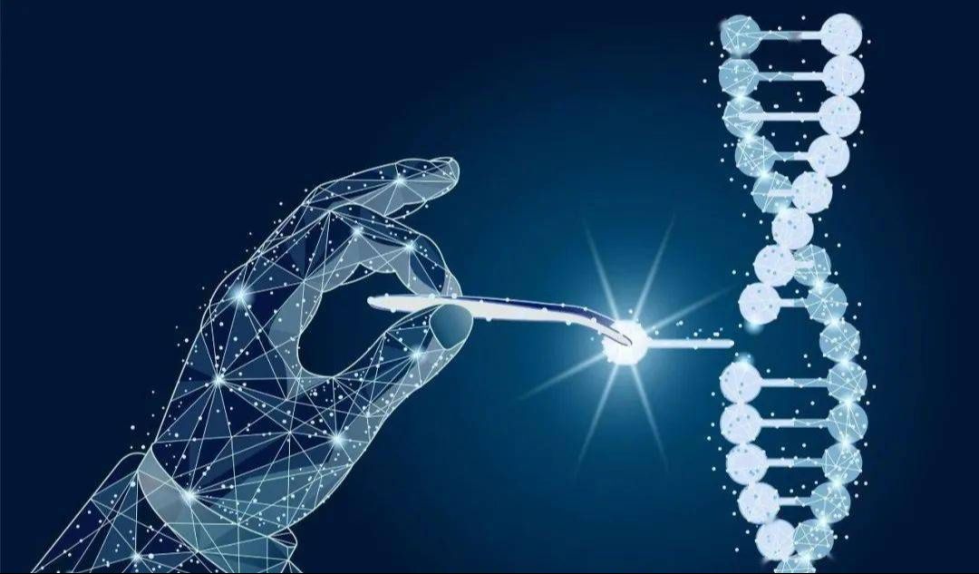 第7章 质粒克隆载体-1