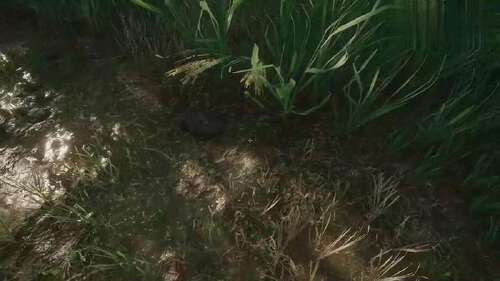 当生存游戏照进现实:无意义打猎背后的虚拟救赎