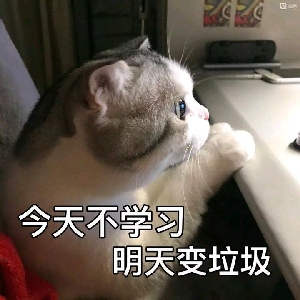 淮秋山Jane 