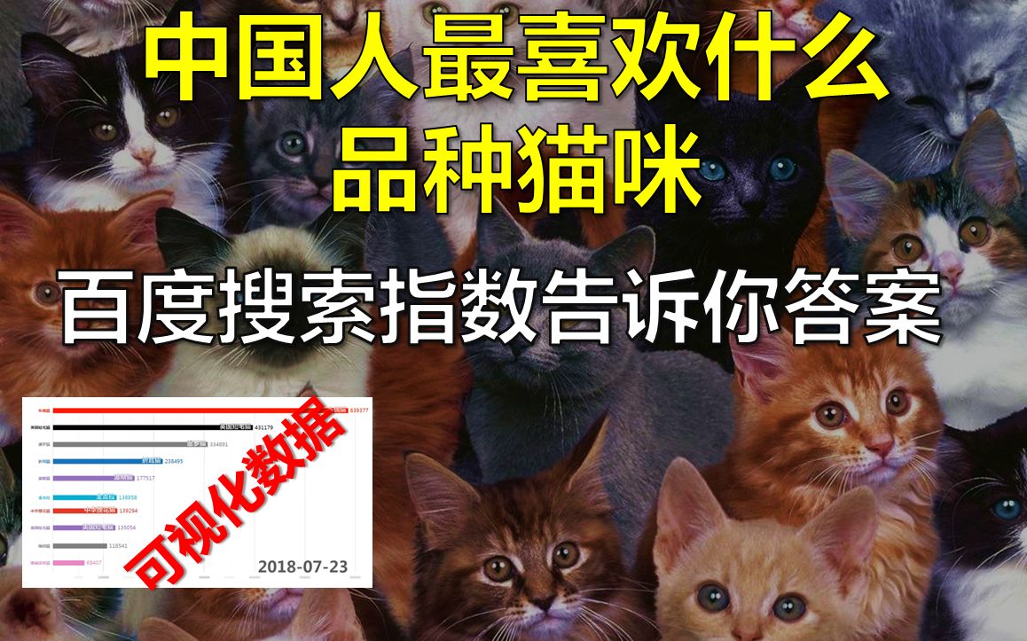 【可视化数据】中国人最喜欢什么品种猫咪?百度搜索指数告诉你!(猫咪...