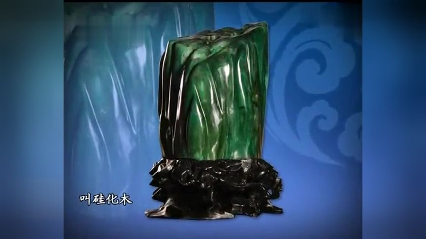 树在地下埋藏两亿多年形成的树化玉 大哥报价80万 看专家怎么说