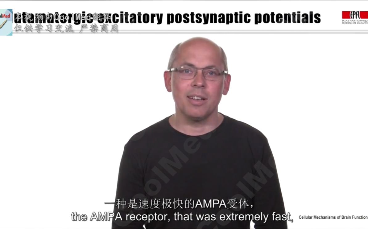 【脑功能的细胞机制】|4.2突触后电位 新课程来啦!那天谁要看这个来着...