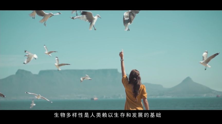 生物多样性:让地球更美丽,你我更幸福!