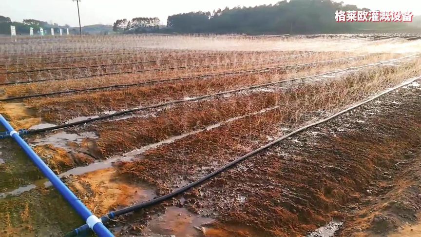 PE全新料农业微喷带,1寸1.5寸三孔五孔耐晒耐压适合蔬菜大棚灌溉