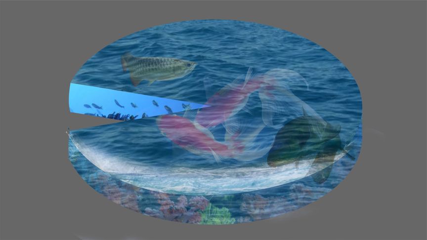 PS教程 PS绘制圆形立体养鱼效果