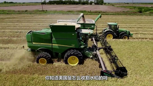 机械化收割水稻,一个小时收获80吨,面积可达150亩