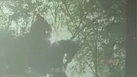 ...思想品德上册(八年级初中政治思想品德优质课课堂实录录像课视频)