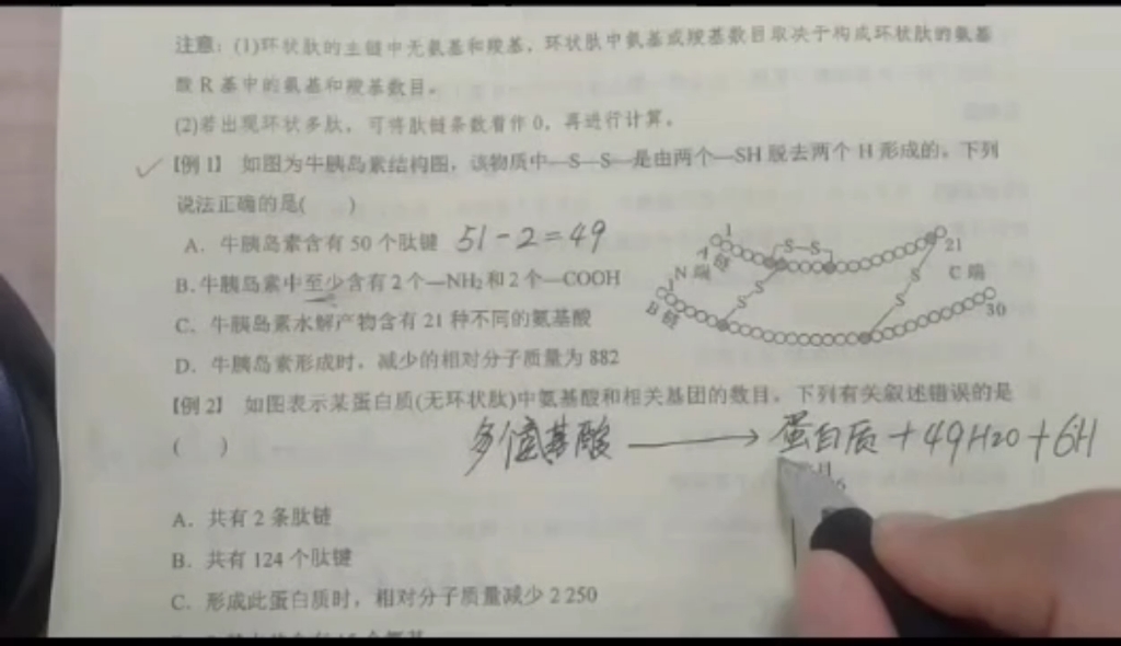 蛋白质分子量计算例题