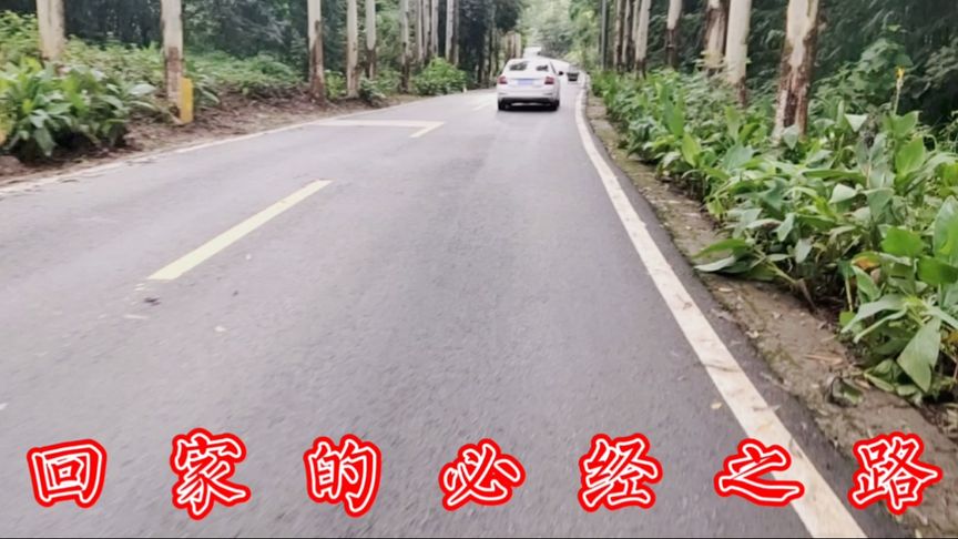 电动车回家的必经之路,全程12km