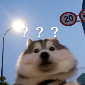 42______ 