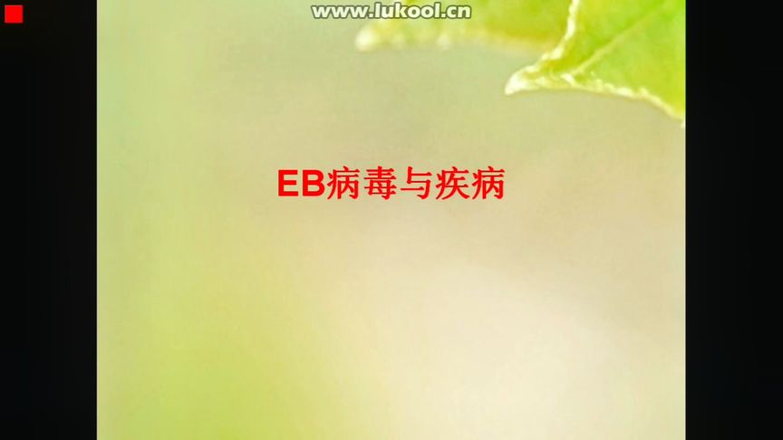 EB病毒与那些疾病有关