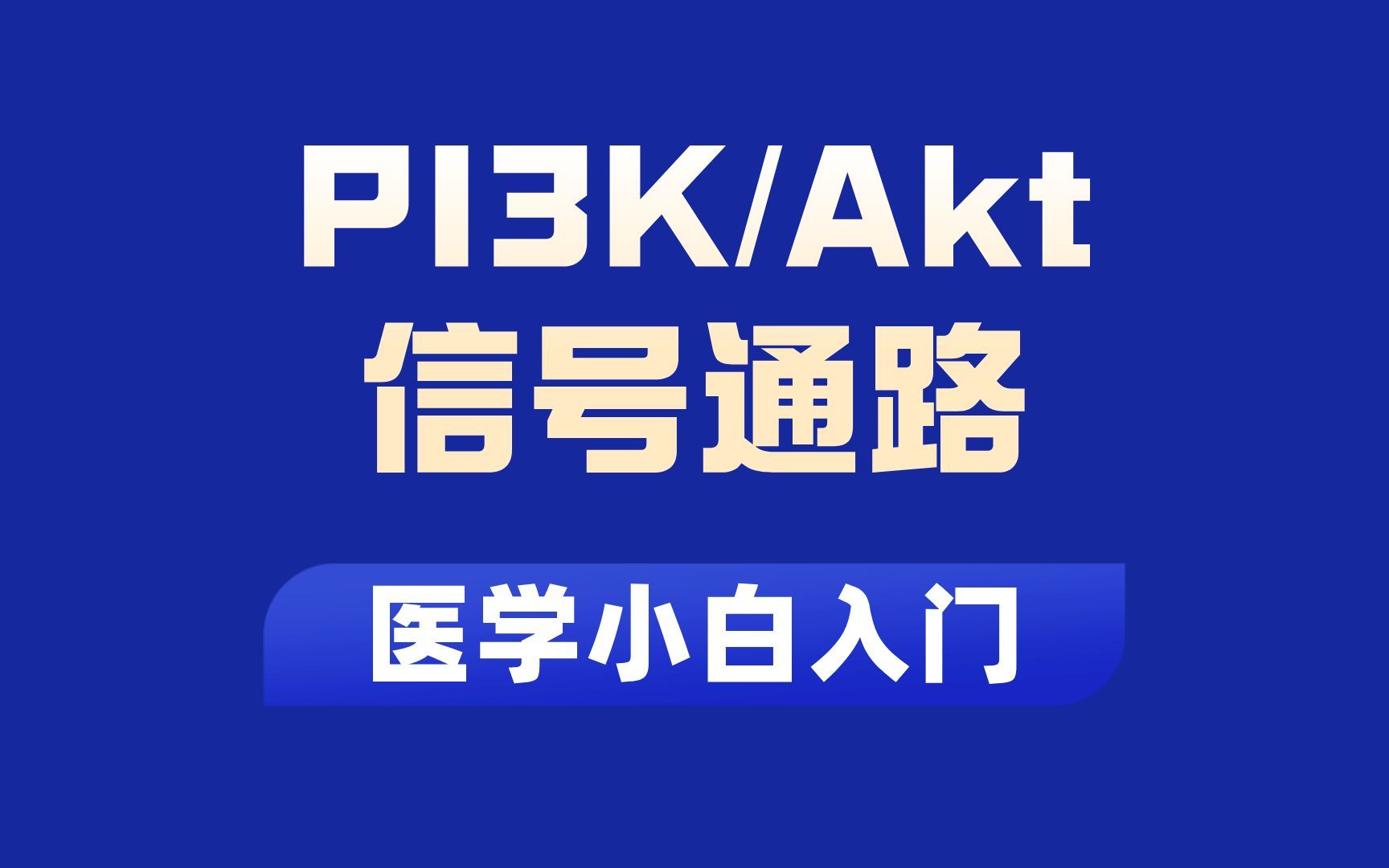 PI3K/AKT信号通路系统讲解