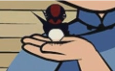 国产优秀剧情FLASH动画 燕子