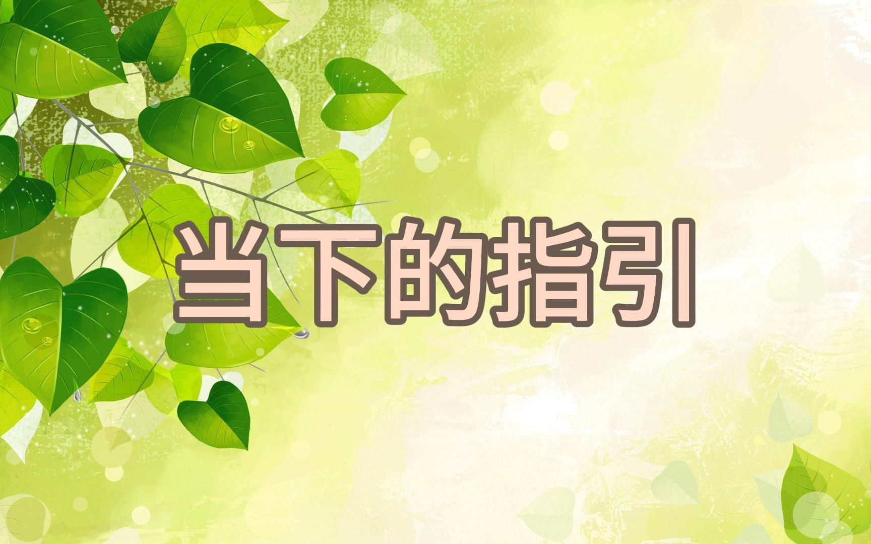 当下我该做什么?[与高维老师的对话]