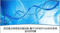 基于SNP的PCA分析和系统进化树构建