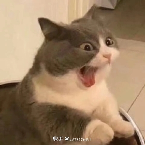 时光机制造者 