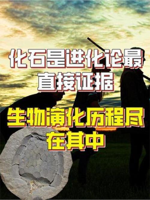 进化论最直接的证据是什么?就是化石,生物的演化历程尽在其中