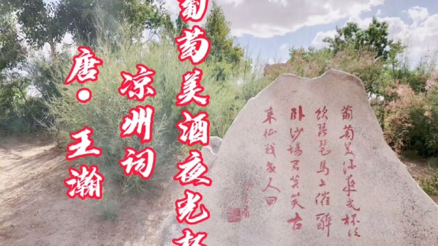 张航朗诵唐诗·葡萄美酒夜光杯·凉州词·唐·王翰·