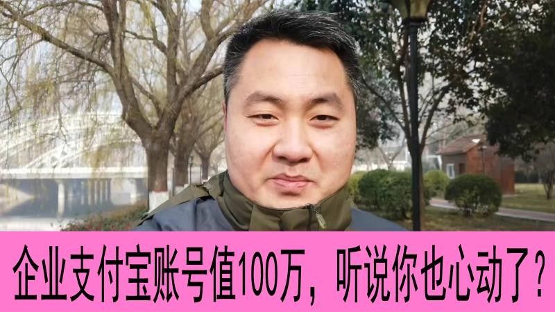 企业支付宝账号现在值100万了?自古真情留不住,唯有套路得人心