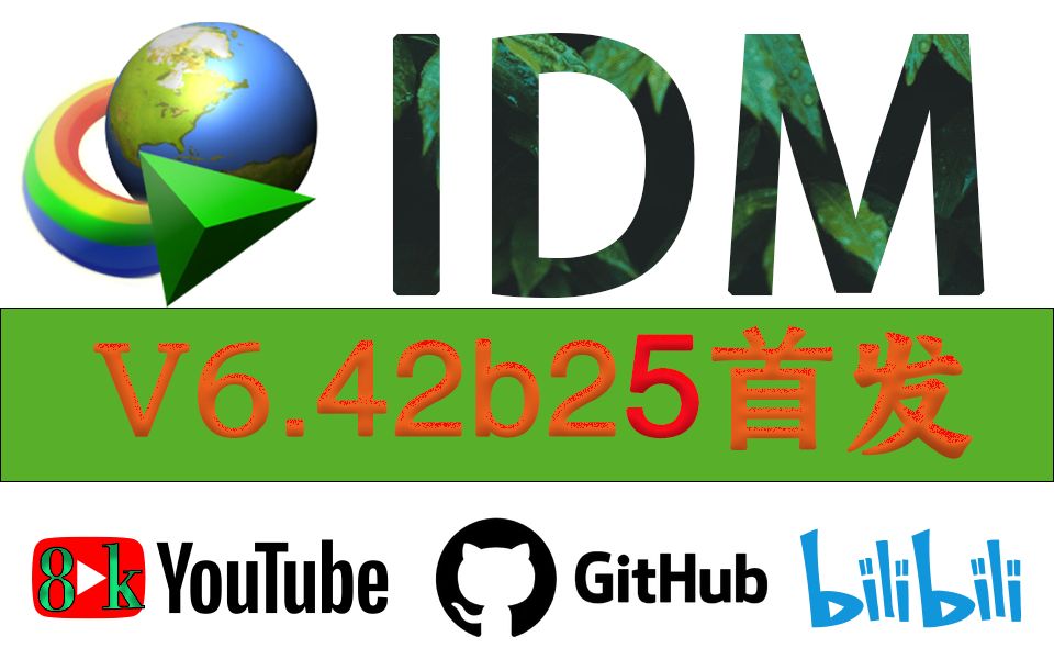 下载神器⚡IDM⚡详细教程|永久激活|B站首发