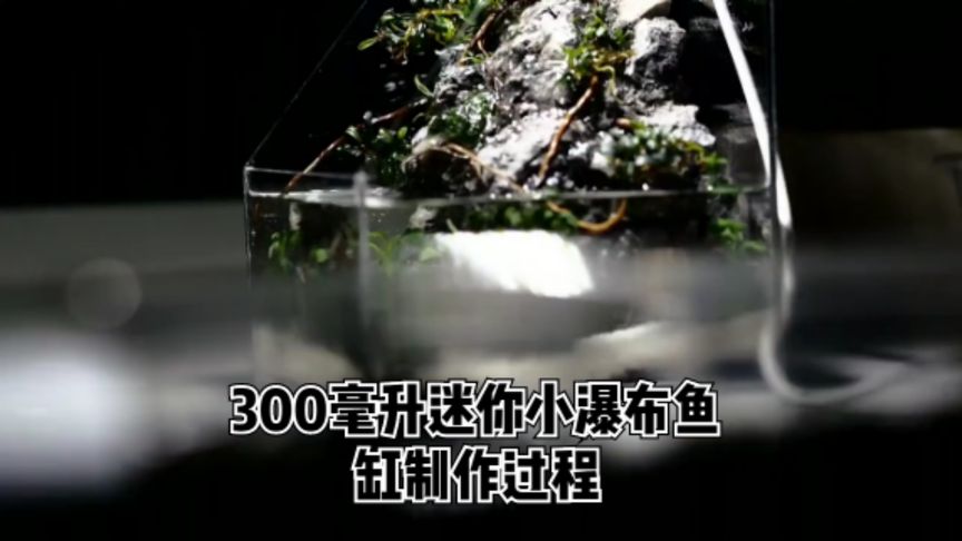 #造景鱼缸#雨林缸造景#微景观迷你300ml 瀑布制作过程
