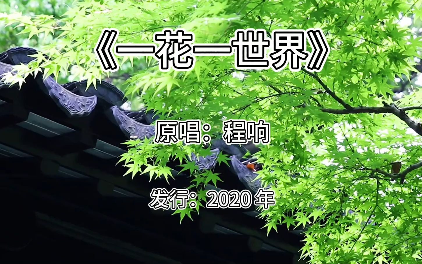 《一花一世界》-程响