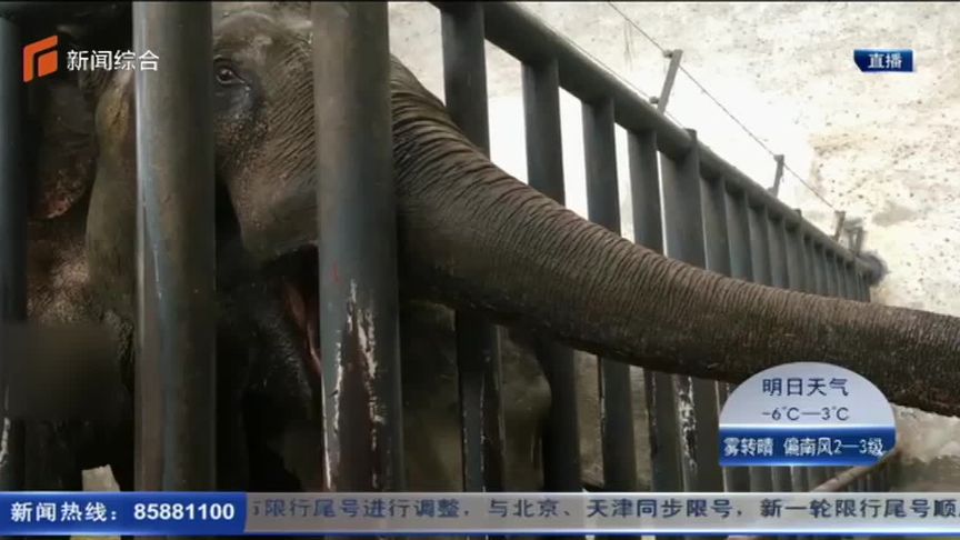 气温下降!小动物们过冬有妙招