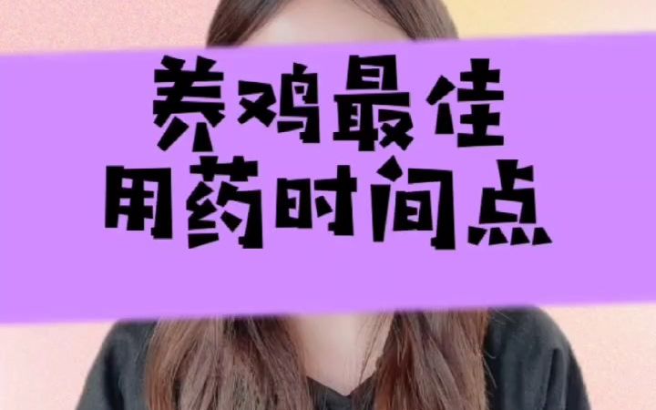 养鸡用药方式及注意事项 养鸡用药最佳时间段 养鸡最佳用药时间点