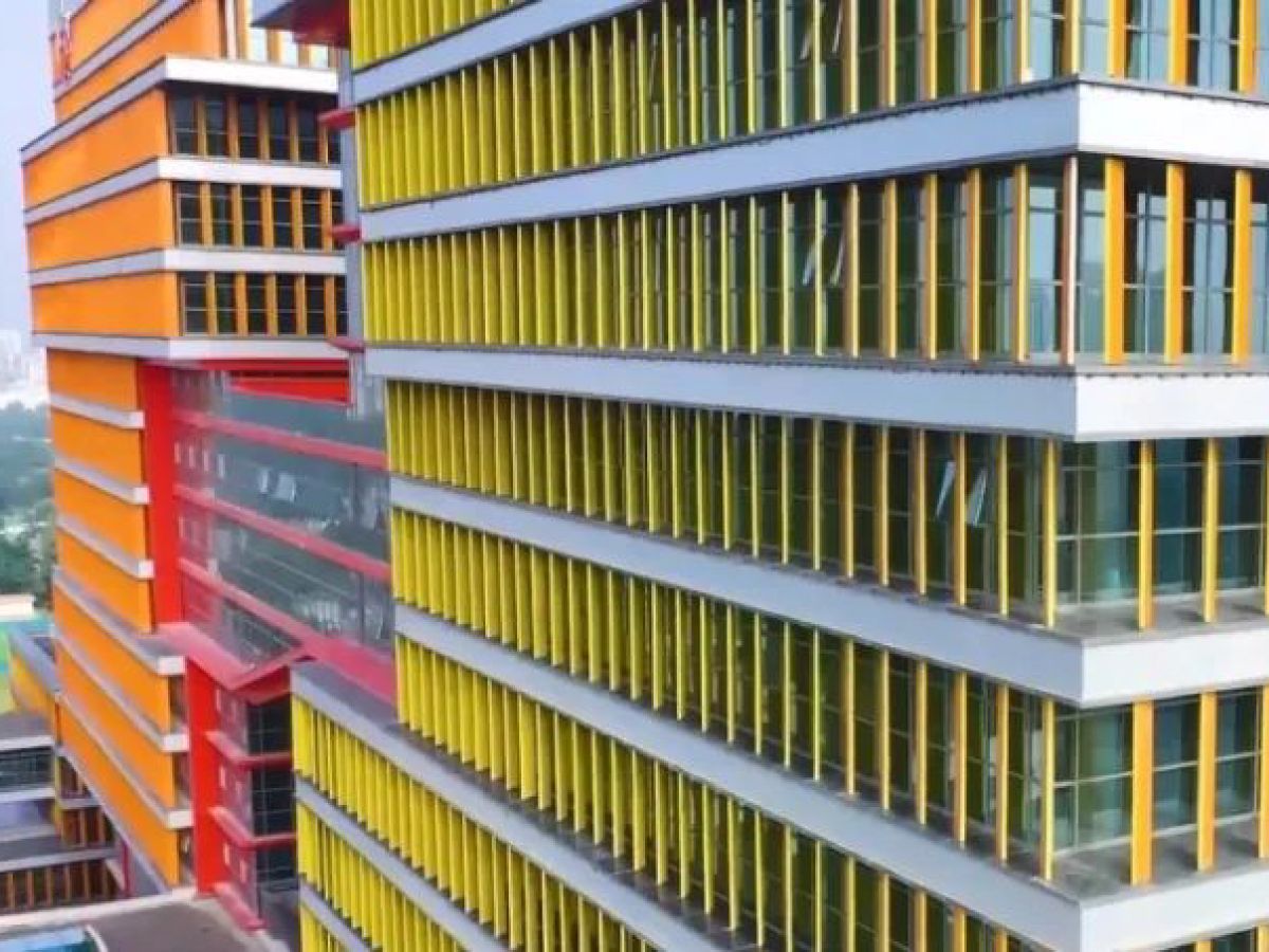 【门窗展会】可变角度双色格栅幕墙 | 西安市儿童医院经开院区@中建...