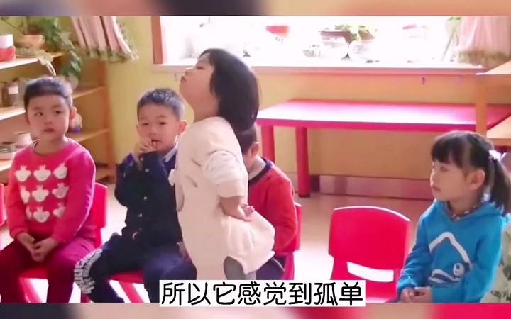 幼儿园优质公开课|小班社会|孤独的小熊通过本节公开课,小朋友感知了...