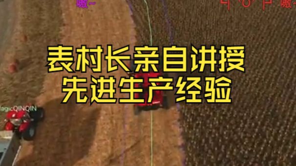 【寅子表哥阿海可可鬼雄东方六视角】模拟农场25:表村长的模范田!...