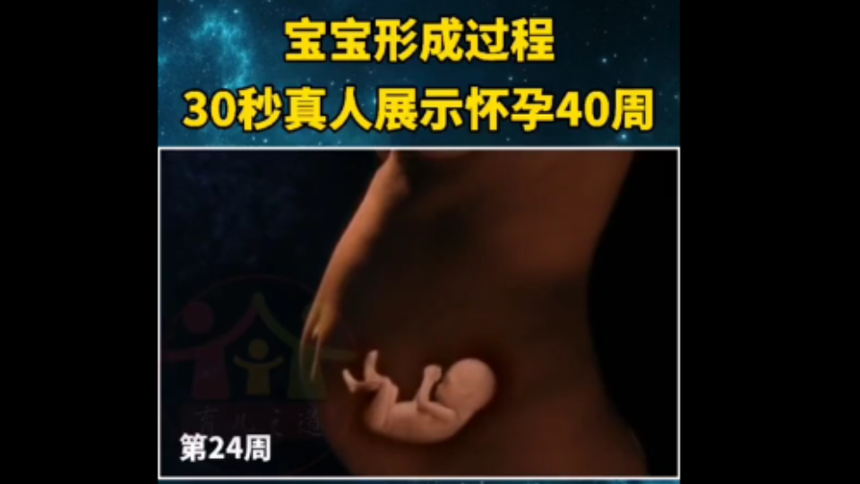 第71集:怀孕过程真人版!#怀孕#胎儿发育精彩内容抢先看。