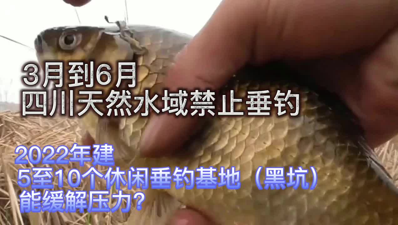 3月到6月四川天然水域禁止垂钓,缓解需求将建5至10个休闲垂钓基地
