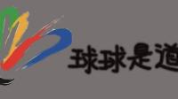 2011全英羽毛球公开赛李宗伟VS林丹决赛