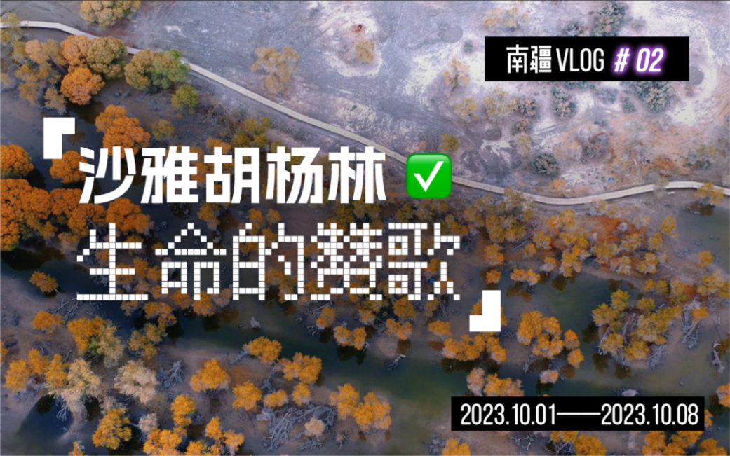 南疆vlog#02 沙雅胡杨林混剪 不管多久都还是会被胡杨的生命力所震撼