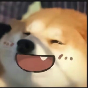 荀行云 
