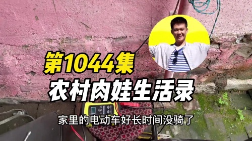 闲置几个月电动车充不进去电怎么办?五姨来了,妈妈准备了农家饭