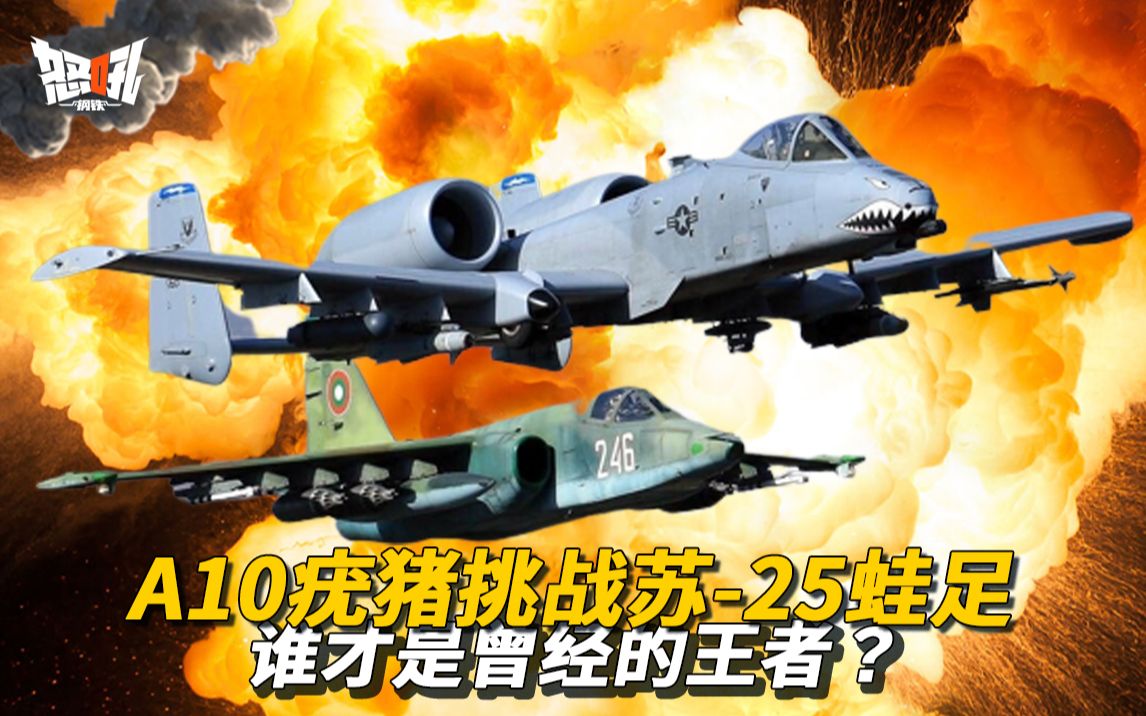 ...说我有GAU-8复仇者机炮,苏-25说我跑的快,A10说:你就是个小短腿儿