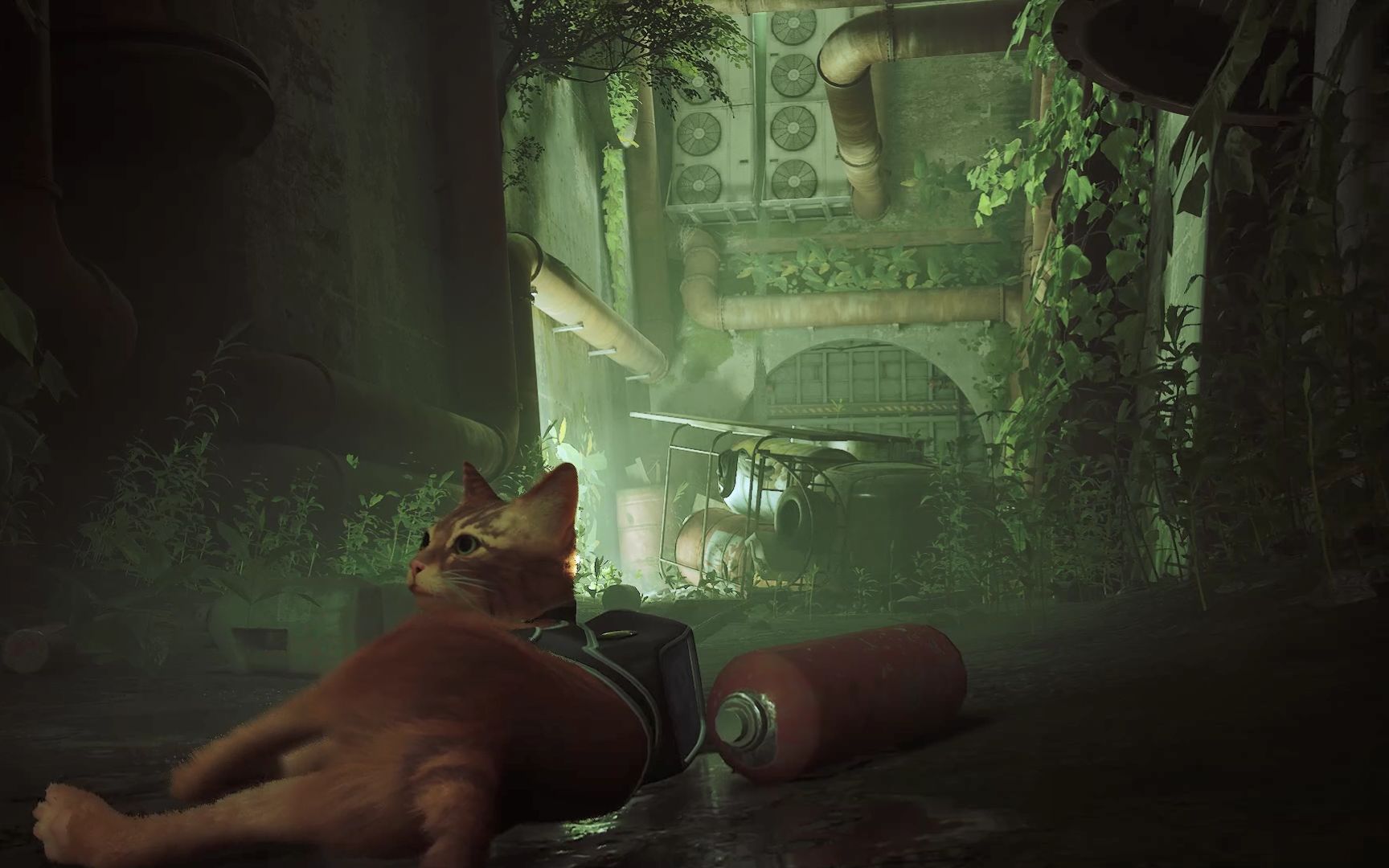 stray猫猫模拟器第四期-获得净化枪,抵达下水道,画风开始不对,san值狂降