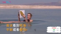 中考物理:液体的密度、浮力(死海不死)、二力平衡